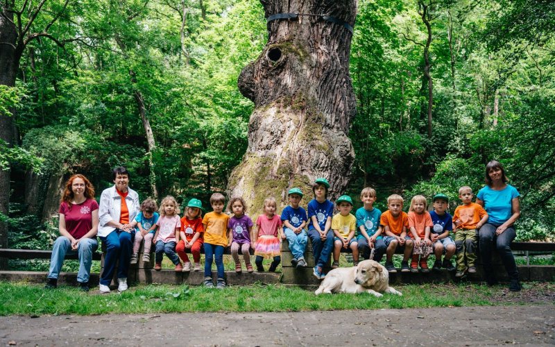 Tisíciletý svědek lásky i dějin z Peruce. Oldřichův dub bojuje o titul ...