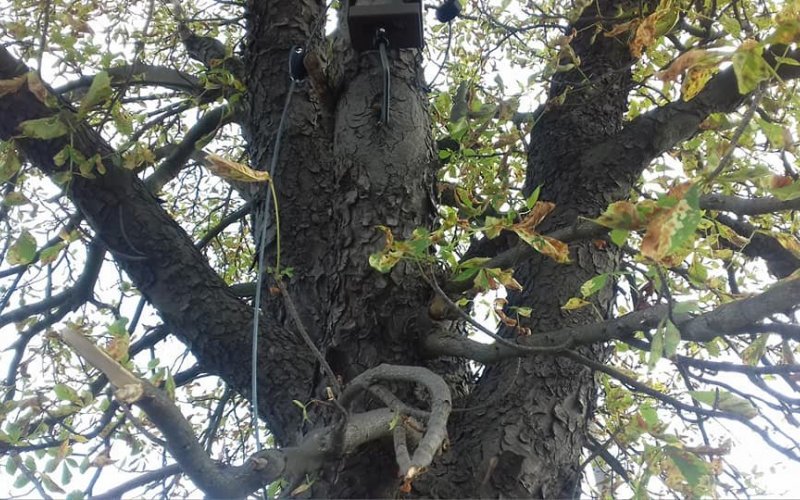 Majetek města slouží ke kampani | OHŘE MEDIA