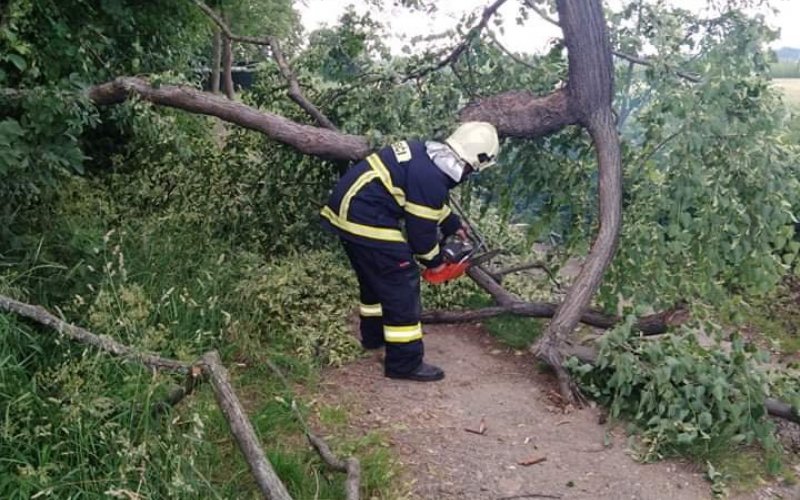 Ulomená větev zkomplikovala život řidičům | OHŘE MEDIA